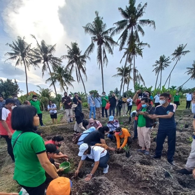 Southeast Asia | World Environment Day 2022: The Best Therapy to Heal ...